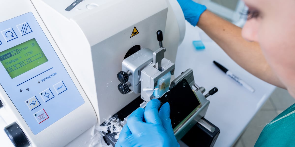 Microtome Blade Buying Guide